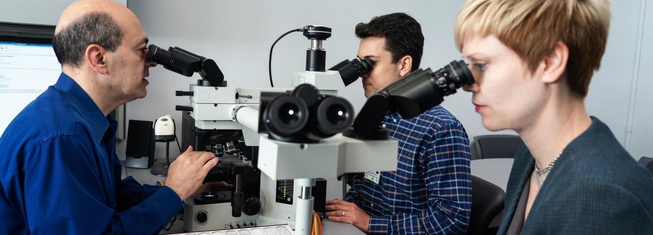 Training | UCSF Pathology